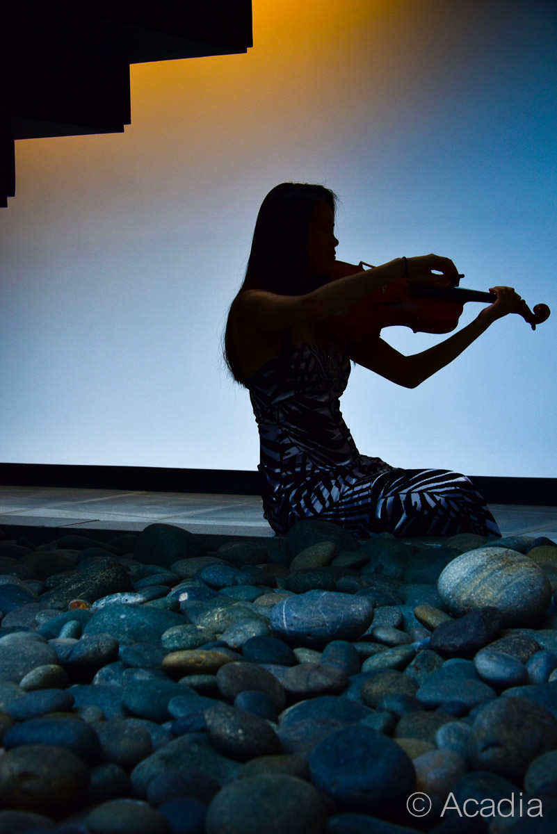 Summer Instrumental Program - Bowdoin Music Festival